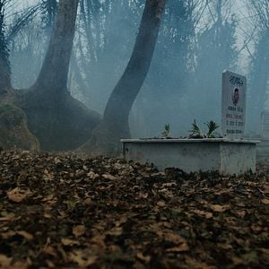 Siccin 2 - 2015 filmi - Beyazperde.com