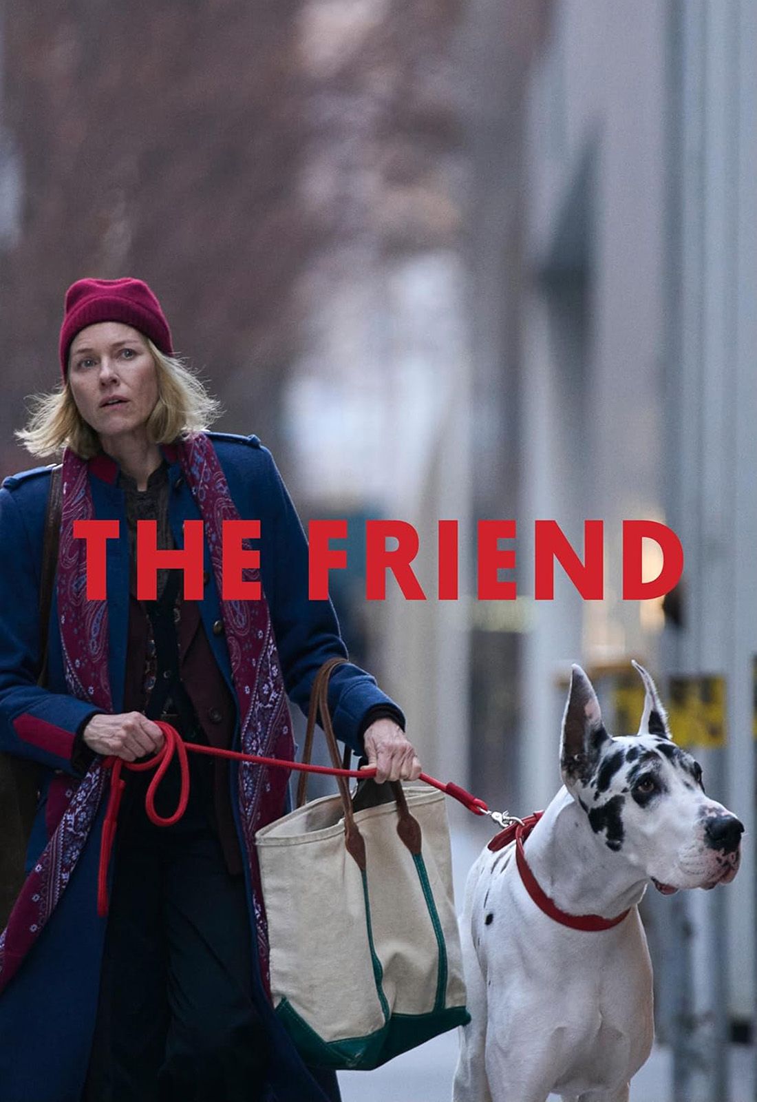 The Friend - 2024 filmi - Beyazperde.com