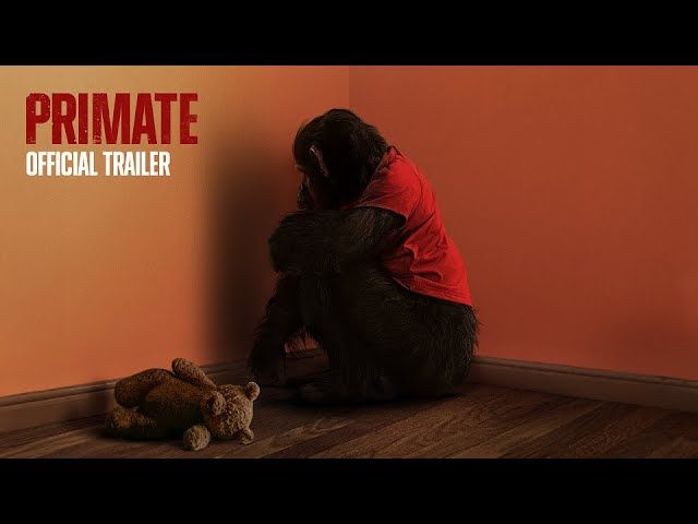 Primat Altyazılı Fragman - Beyazperde.com