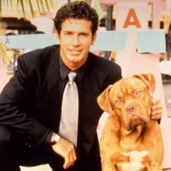 Tequila and Bonetti - Dizi 1992 - Beyazperde.com