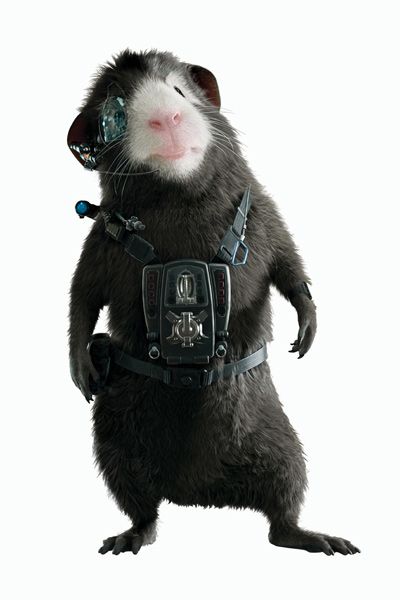 G-Force resimleri - Fotoğraf 25 - Beyazperde.com