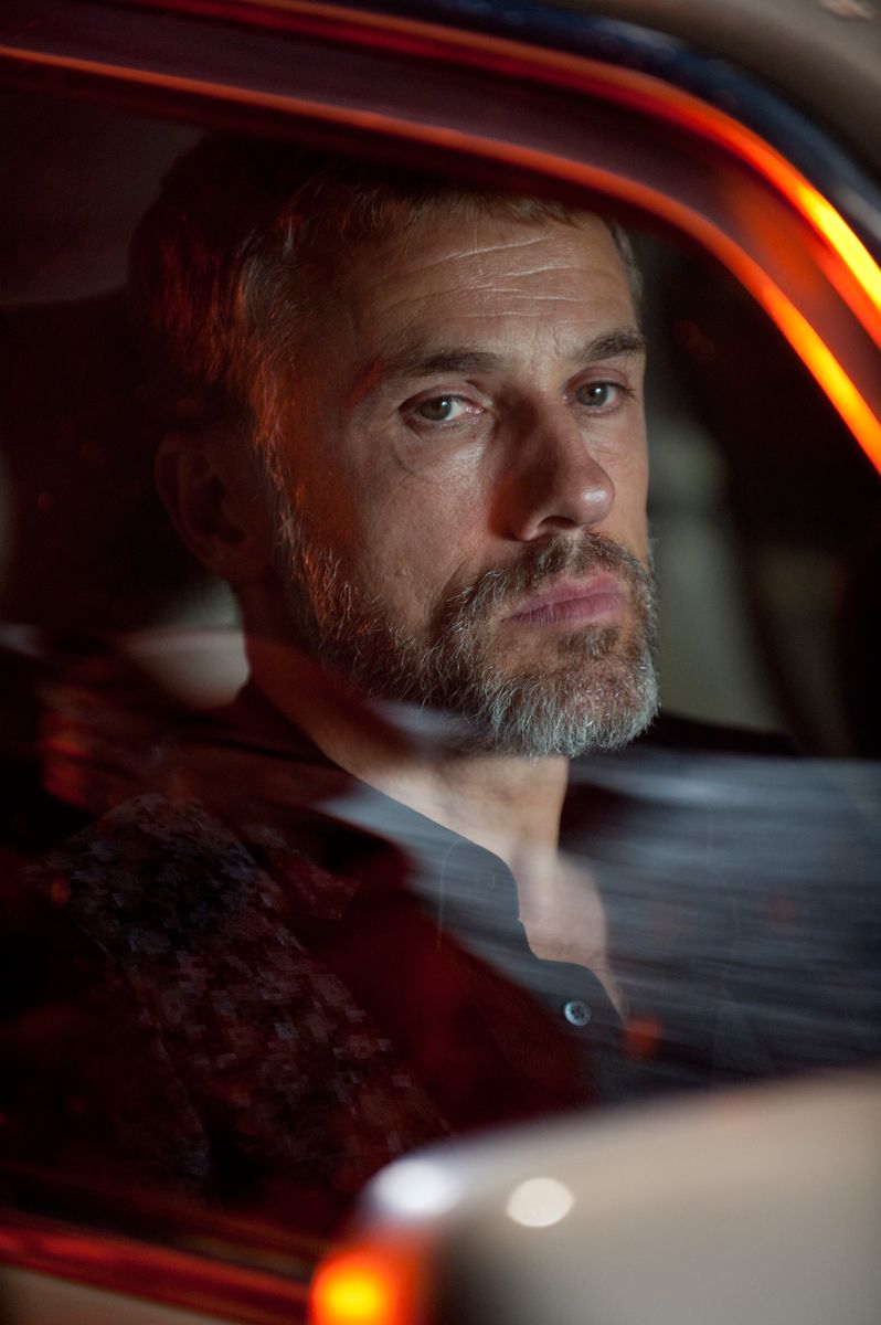 Yeşil Yaban Arısı resimleri - Fotoğraf 8 - Beyazperde.com