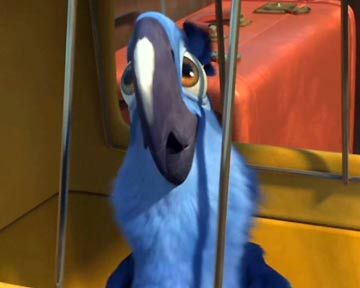 Rio Orijinal Fragman (2) - Beyazperde.com