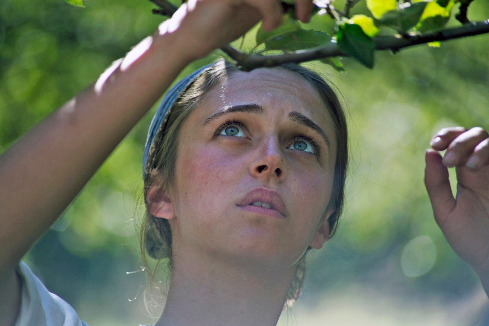 Le Semeur resimleri - Fotoğraf 4 - Beyazperde.com