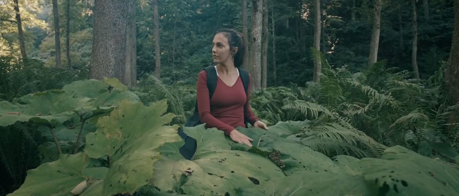 Kovan resimleri - Fotoğraf 5 - Beyazperde.com