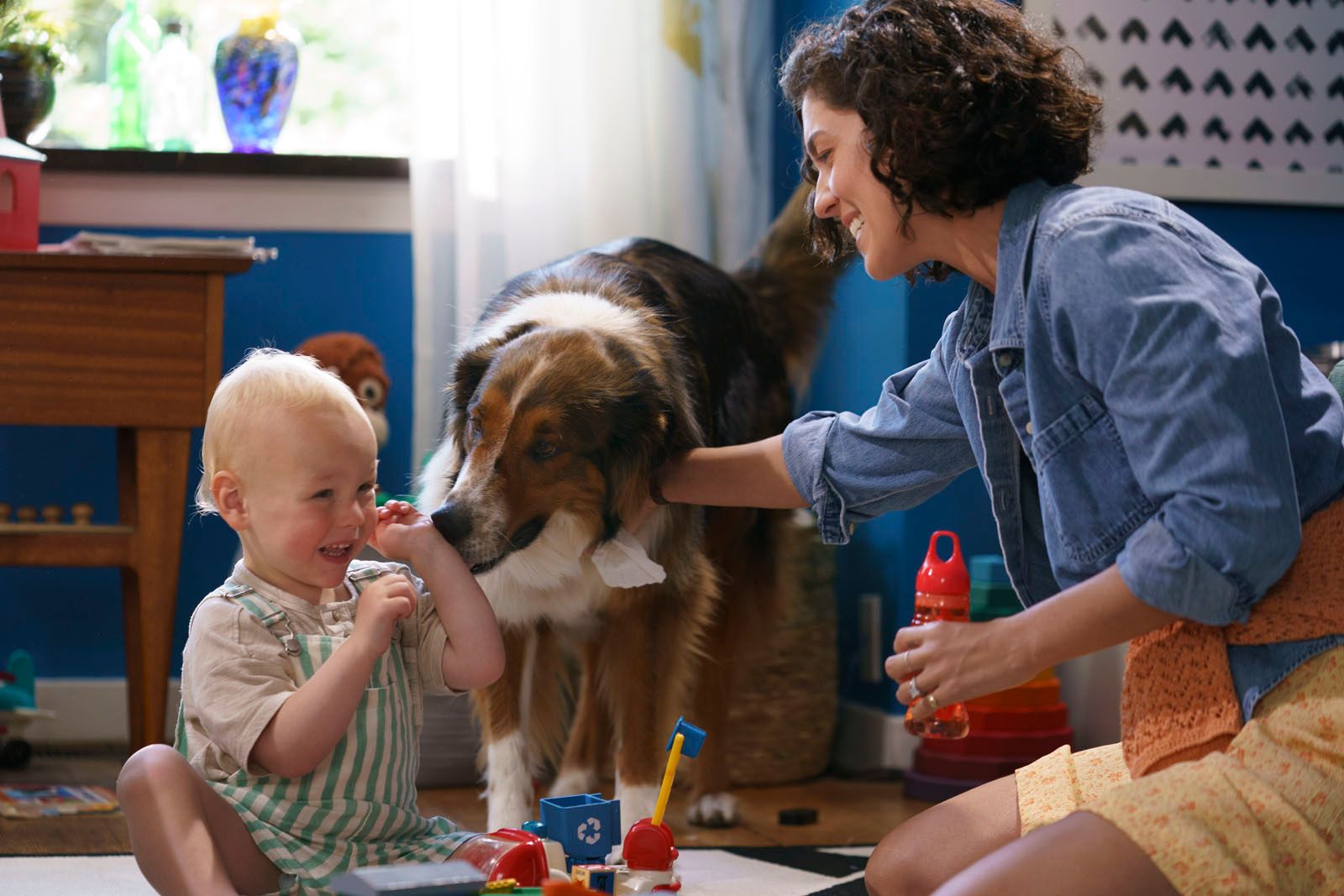Kaylah Zander resimleri - Kurtarma Köpeği Ruby : Fotoğraf Kaylah Zander ...