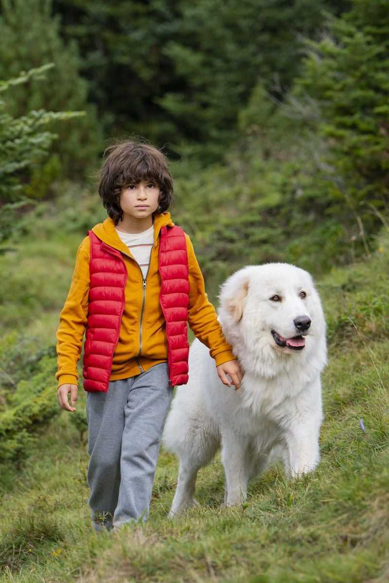 Belle ve Sebastian: Cesur Dostum resimleri - Fotoğraf 8 - Beyazperde.com