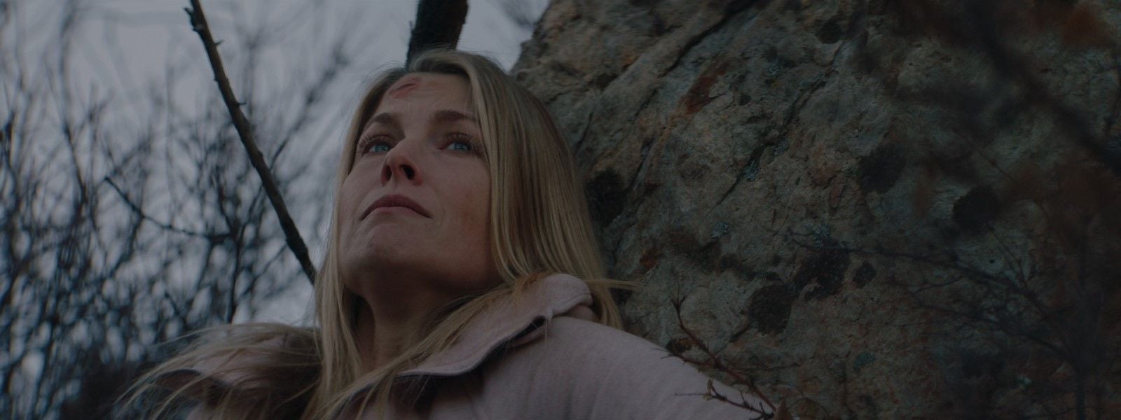 The Last Victim resimleri - Fotoğraf 1 - Beyazperde.com