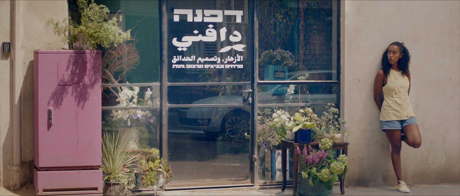 America resimleri - Fotoğraf 4 - Beyazperde.com