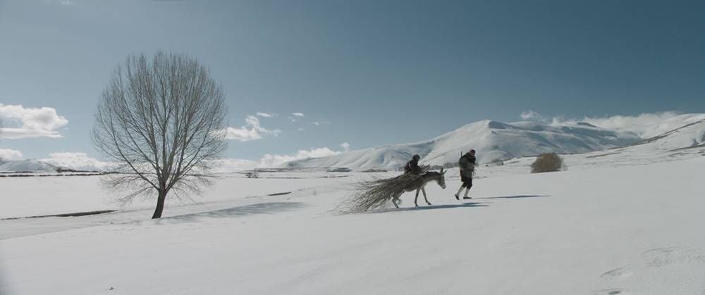 Mavzer resimleri - Fotoğraf 2 - Beyazperde.com