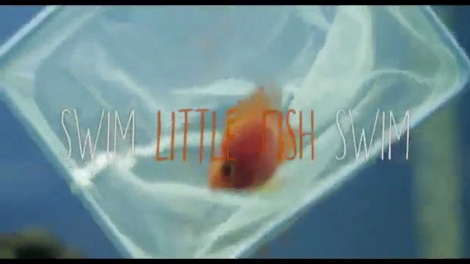 Swim Little Fish Swim Orijinal Fragman - Beyazperde.com