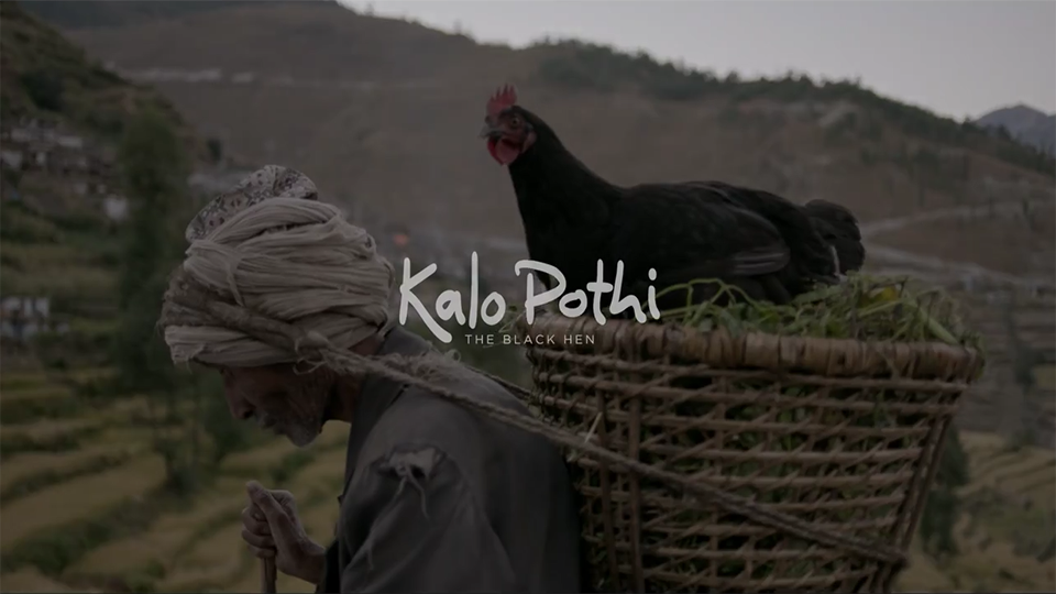 Kara Tavuk - Beyazperde.com