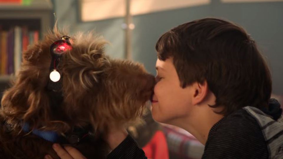 Dogs Best Friend Orijinal Fragman - Beyazperde.com