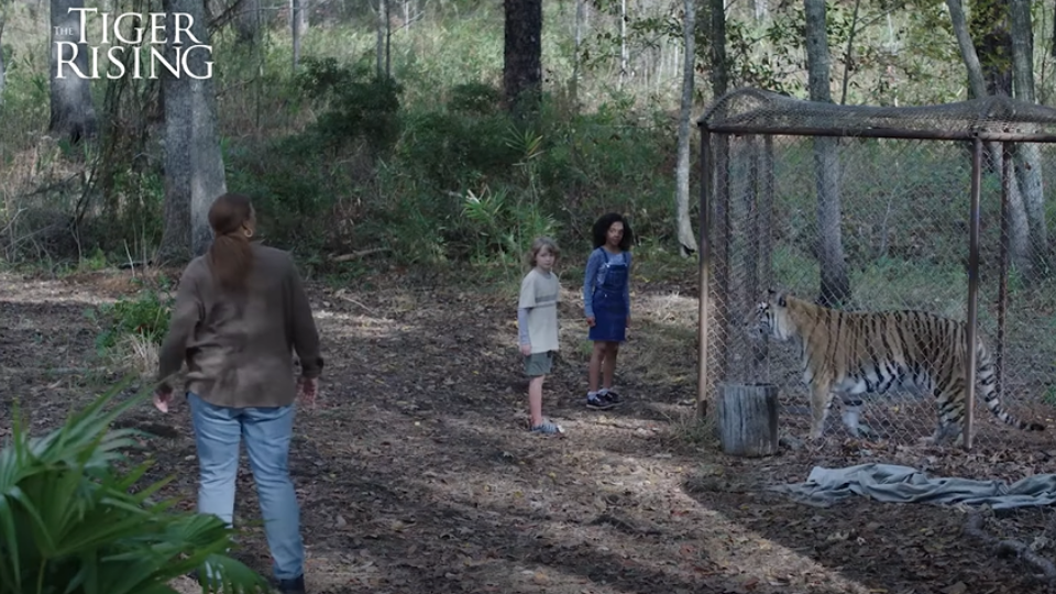 The Tiger Rising Fragman - Beyazperde.com