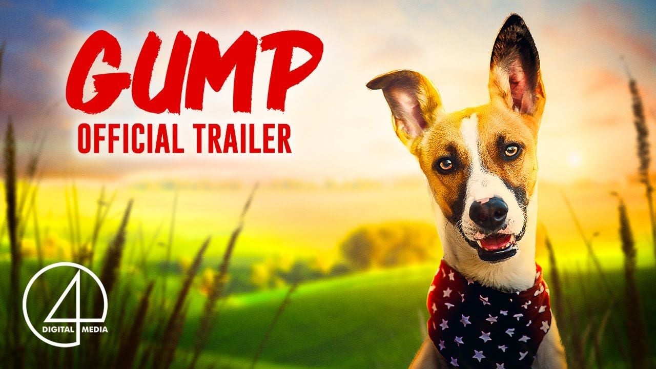 Gump - pes, který naucil lidi zít Fragman - Beyazperde.com